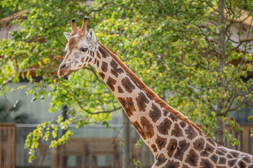 Full list of family attractions with reduced ticket prices this summer ...