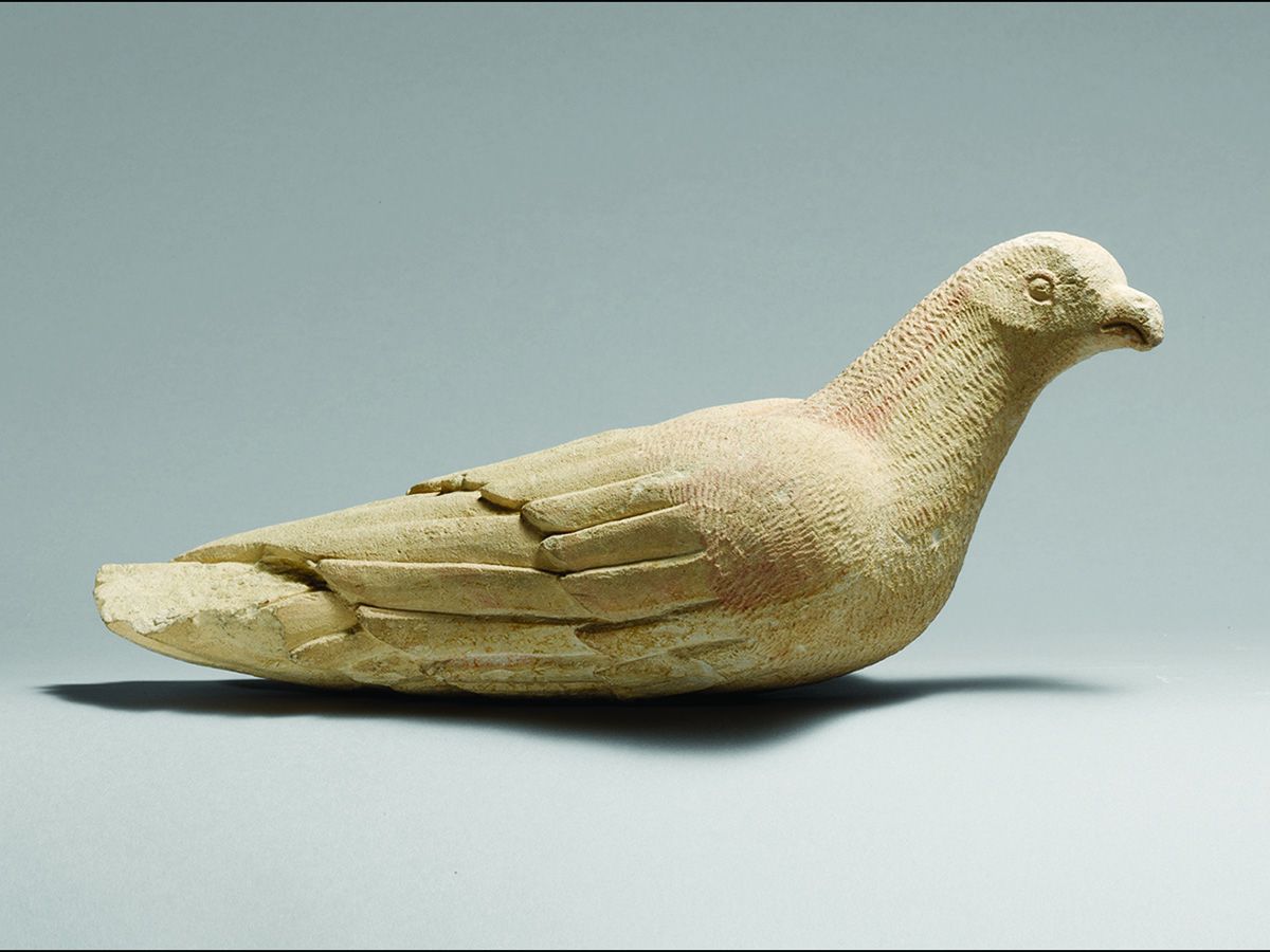 Pests or pets? Pigeons have been eating human food for millennia
