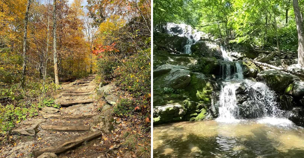This Virginia mountain cascade is worth the short but steep hike down