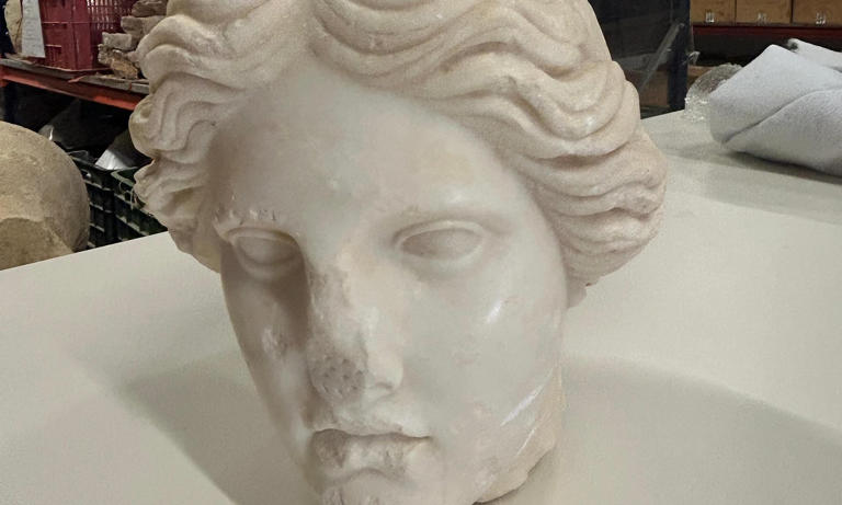 Tourists stunned as 2,000-year-old Roman marble head of Venus dug up on ...