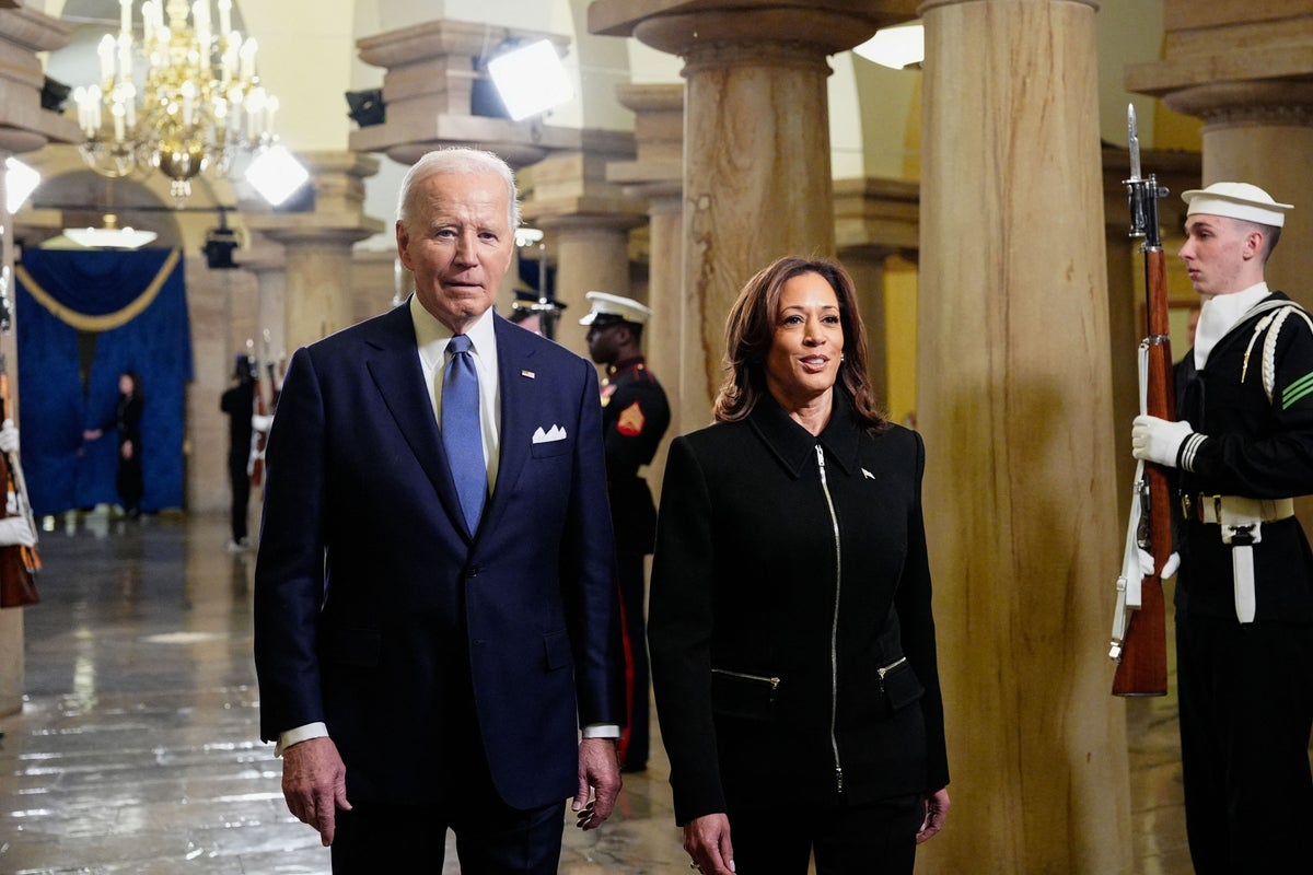 Democrats release long suppressed 'autopsy' on 2024 failure to win