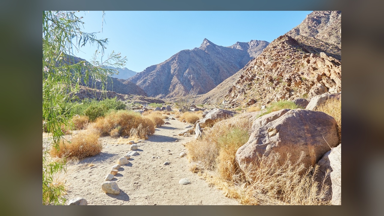 Two hours from San Diego, this California desert hides jade oases and ...