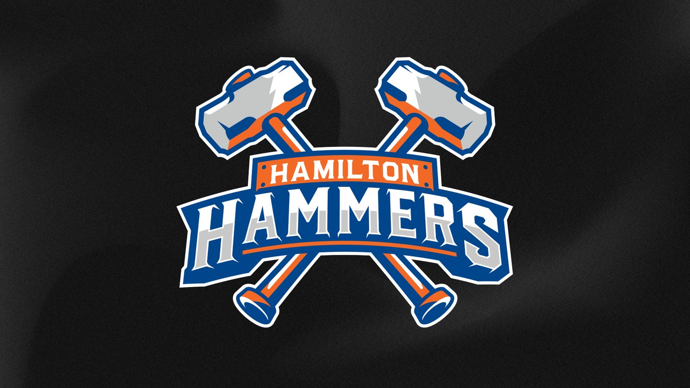 Hamilton Hammers name gives new AHL franchise a Steel City identity