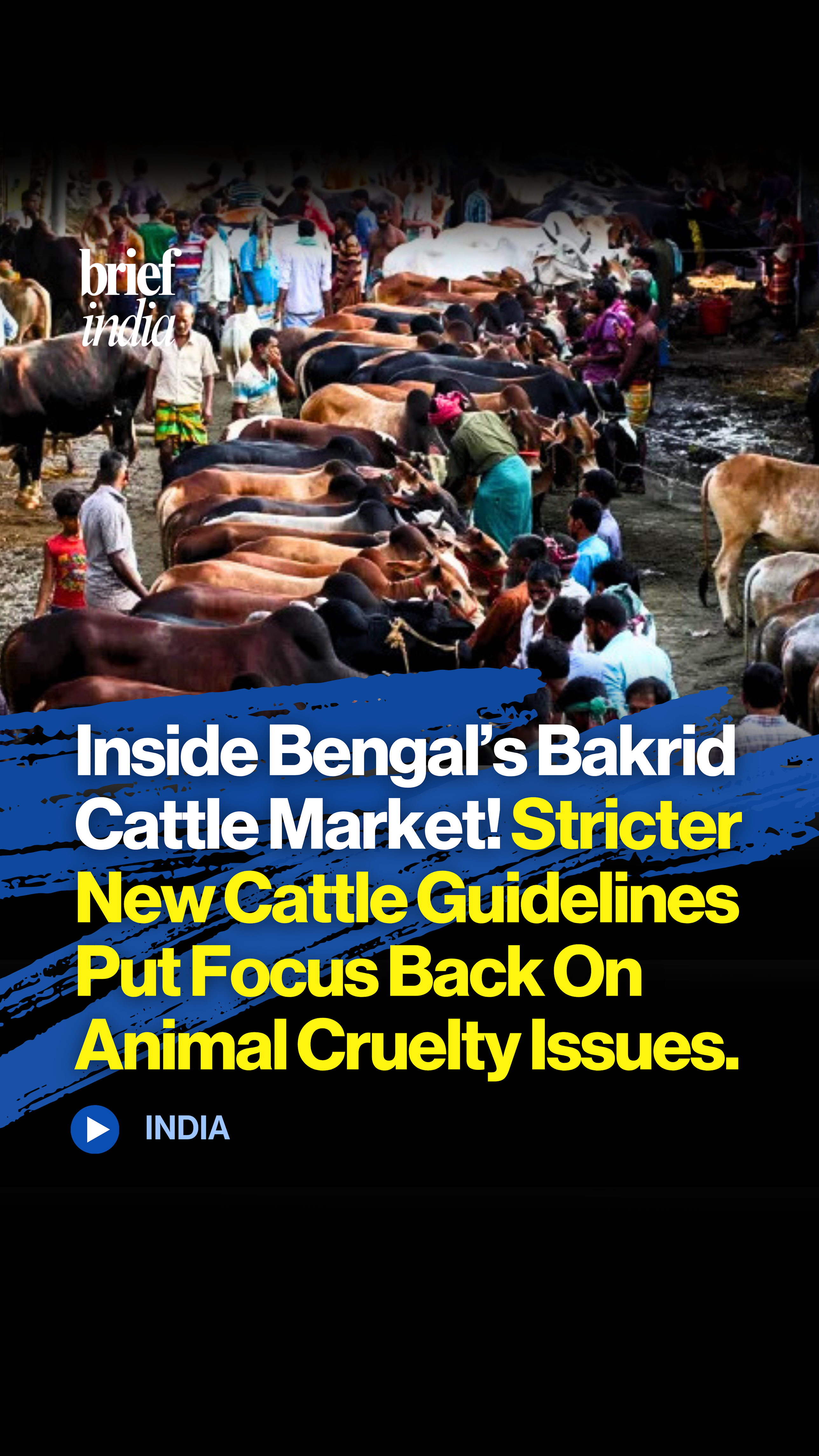 Bengal’s traditional Bakrid cattle markets witness festival rush ahead ...