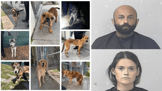 New affidavit, bodycam reveal disturbing conditions in Port St. Lucie ...