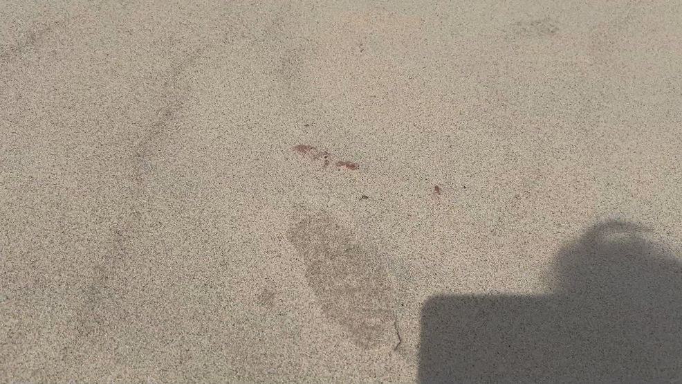 Public safety official to discuss Silver Beach, park safety