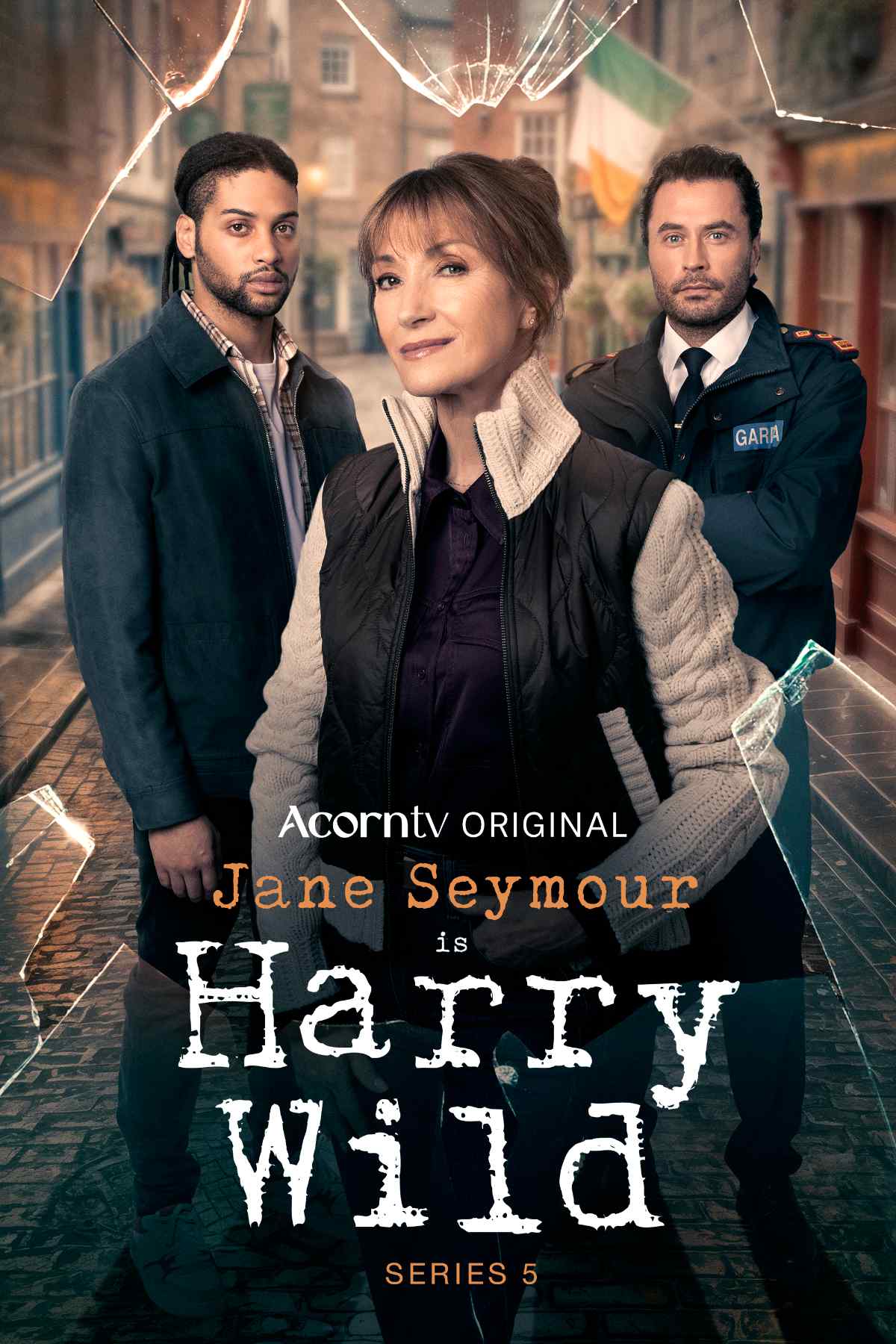 Harry Wild season 5 trailer and key art debut