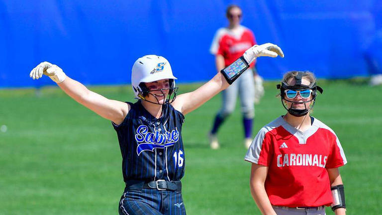 Minnesota high school softball 2026 section tournament brackets, scores
