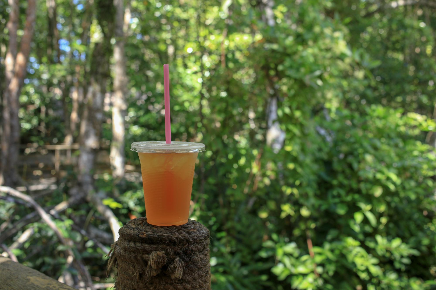 Heading to a national park this summer? 10 items rangers will ...