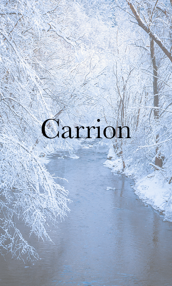Romantasy-Inspired Baby Name Ideas for Moms Whose Bookshelves Are ...