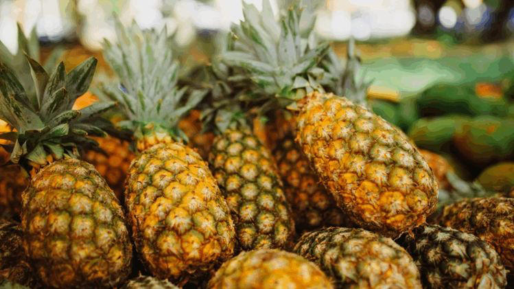 Narendra Modi gifts Meghalaya's GI-tagged pineapples to UAE president