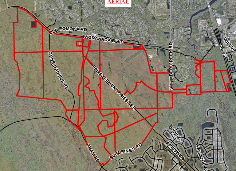 Daytona OKs Avalon Park, bringing 8,800 homes, but traffic a concern