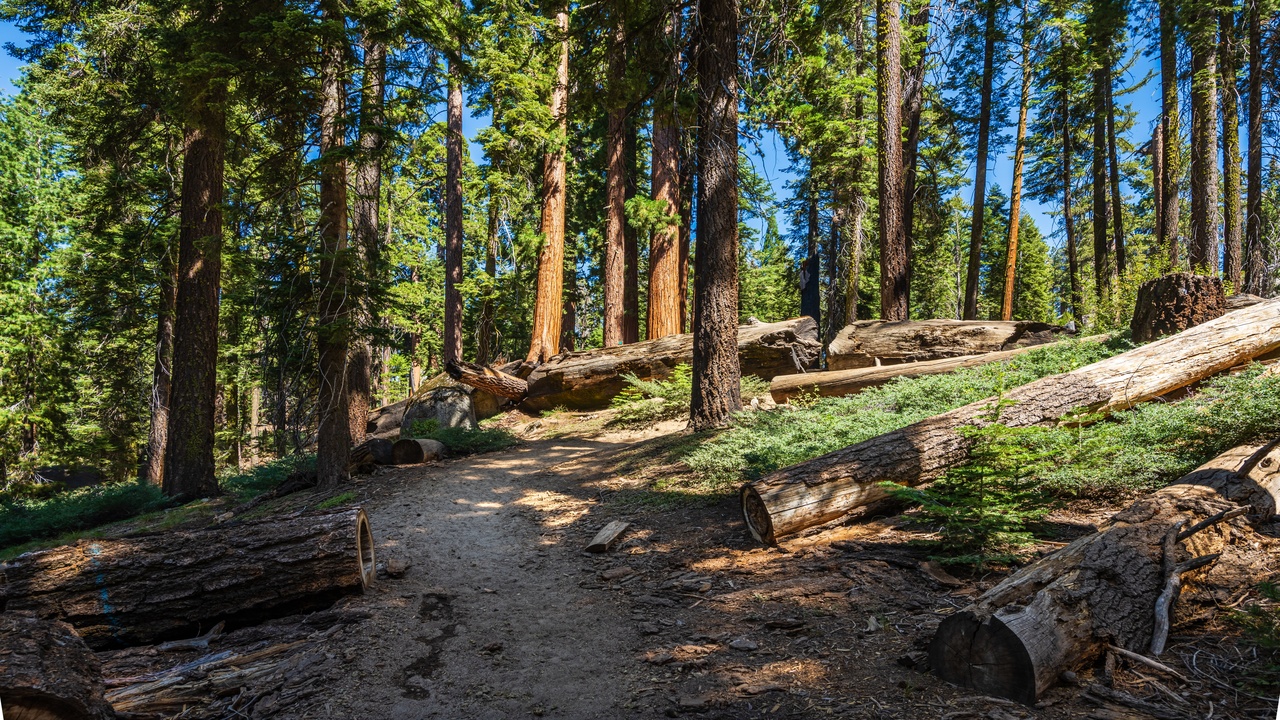 California has a canyon deeper than the Grand Canyon, and almost no one ...
