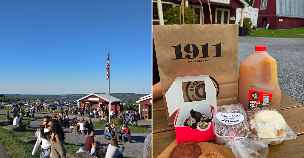 The massive New York orchard and bakery where crowds flock for famous ...