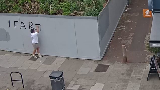 Police try to sniff out vandal who spray painted stinky message on wall