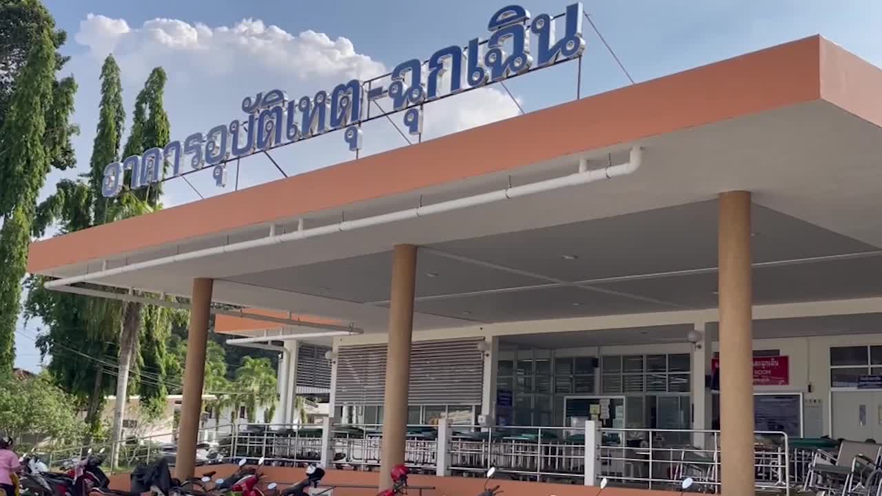 Bear mauls Thai man as he forages for wild food ingredients in forest