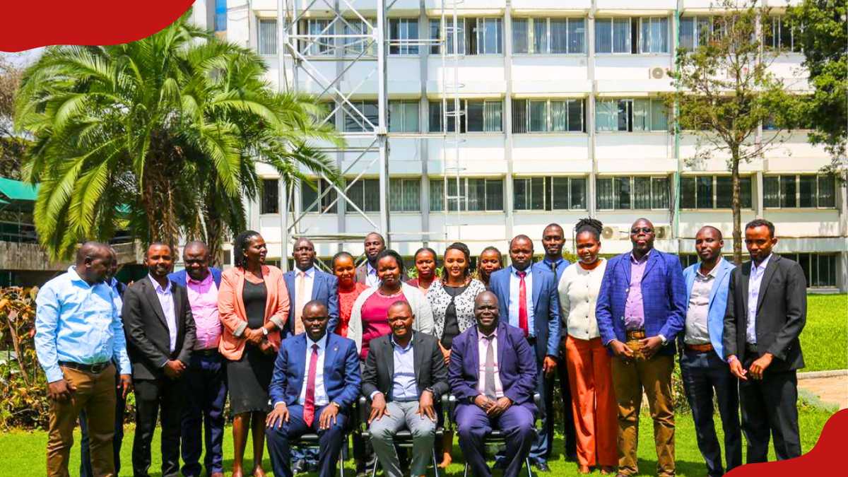 Kenya launches national rice survey to cut imports, boost local food ...