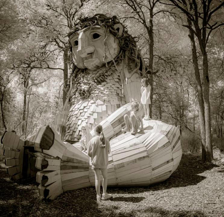 After Pease Park troll burns, Austinites share fond memories