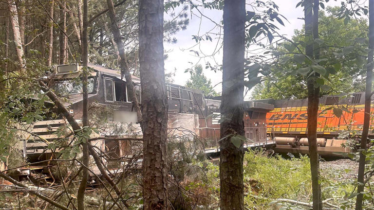 Train crashes into truck, derails in Hall County, sheriff says
