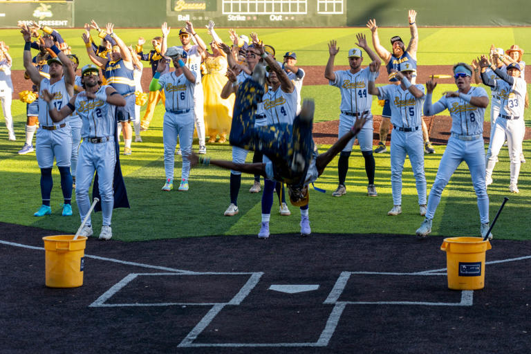 What channel is Savannah Bananas baseball in Knoxville on today? TV to ...
