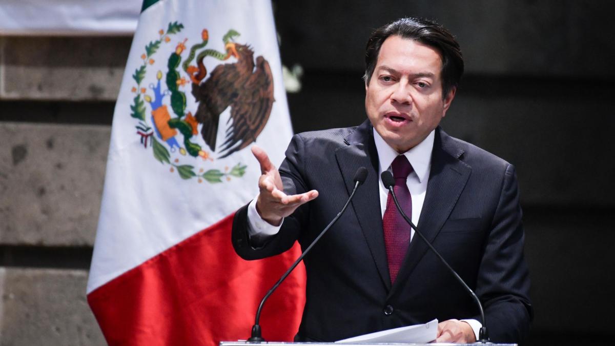 No hay necesidad de paro, afirma Mario Delgado ante movilizaciones de ...