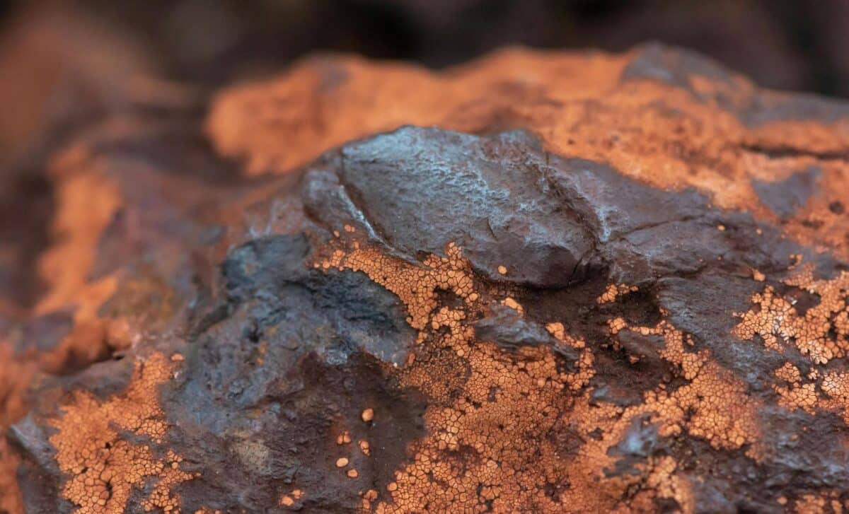 Researchers examining a meteorite fragment discovered strange ...