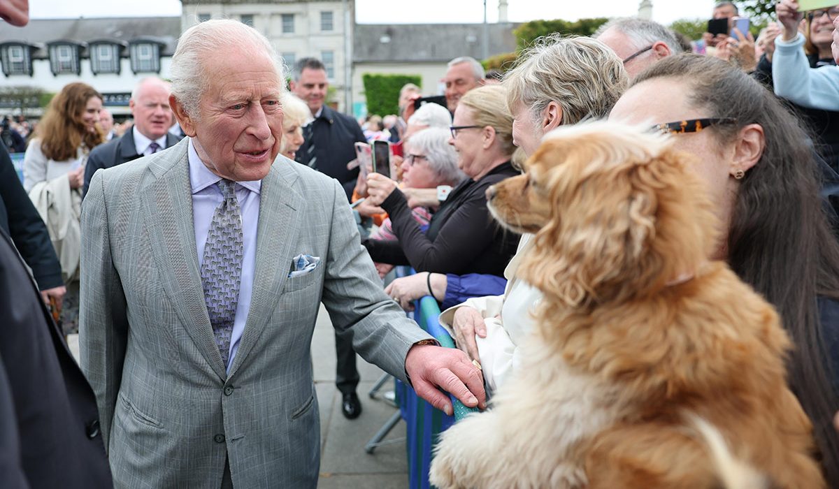 Seagull splatters Britain’s King Charles during trip to Co Down