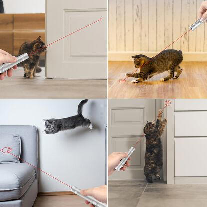 Cat behavior explained: 5 reasons cats love knocking things over