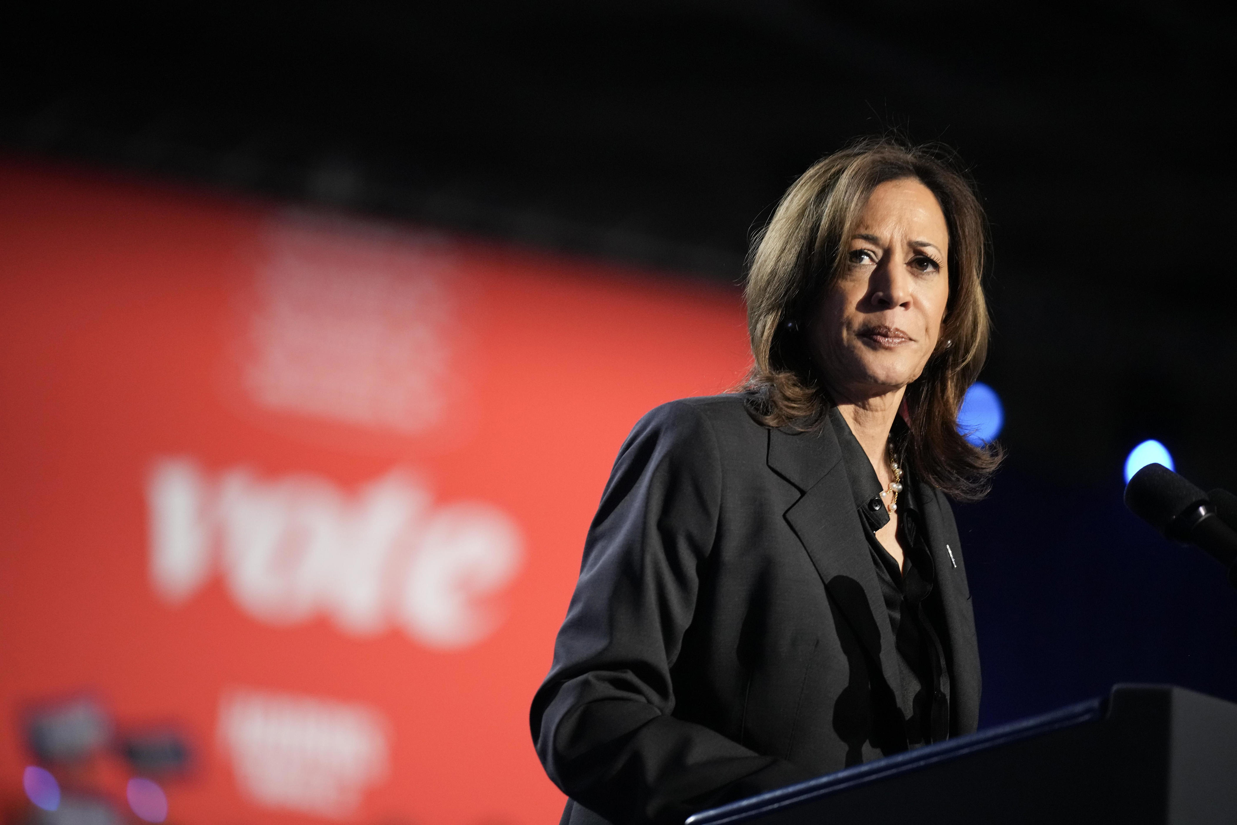 DNC releases 2024 autopsy on Kamala Harris' election loss