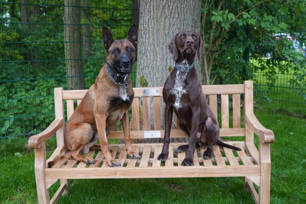 New memorial bench installed in tribute to Cumbria police dogs