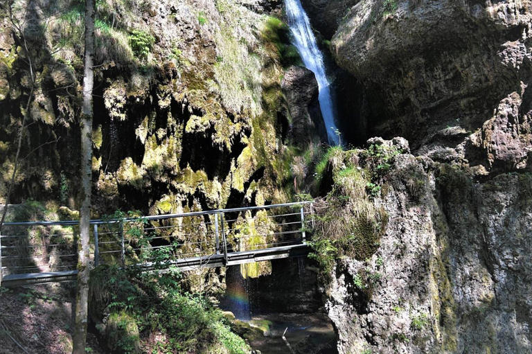 Heiße Tage, kühle Schluchten: Dieses Ausflugsziel im Allgäu begeistert ...