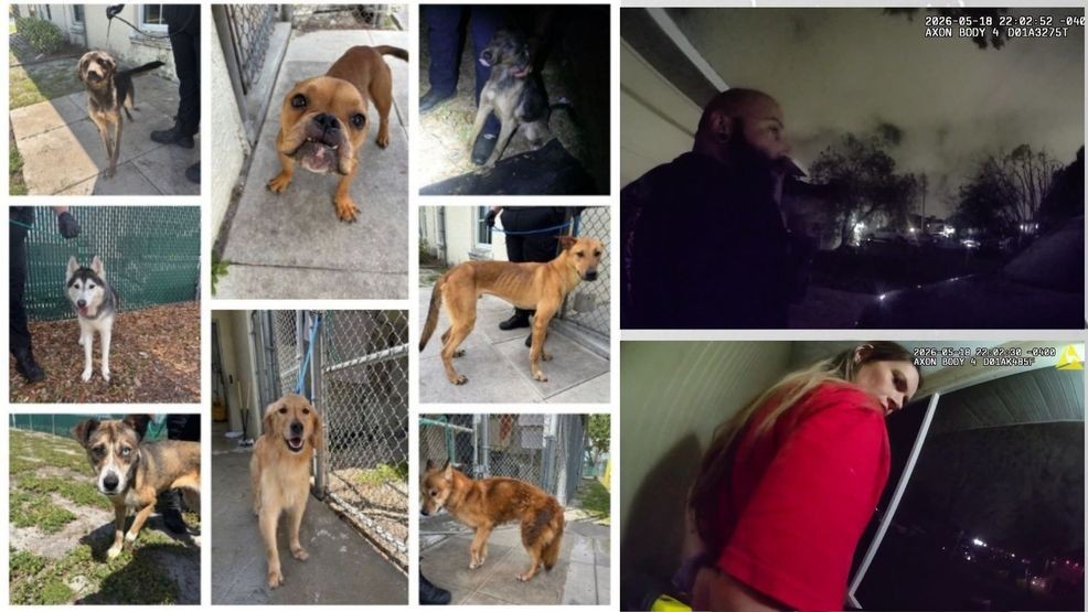 New affidavit, bodycam reveal disturbing conditions in Port St. Lucie ...