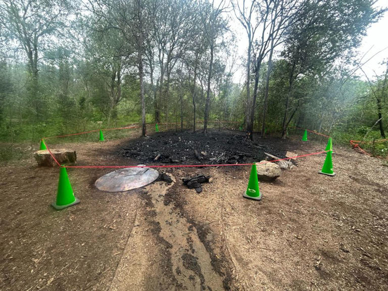 Malin, the Pease Park troll, completely burns down