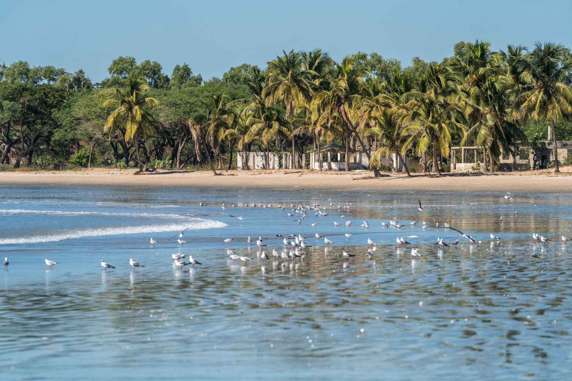 Budget holiday operator launches new direct flights to The Gambia