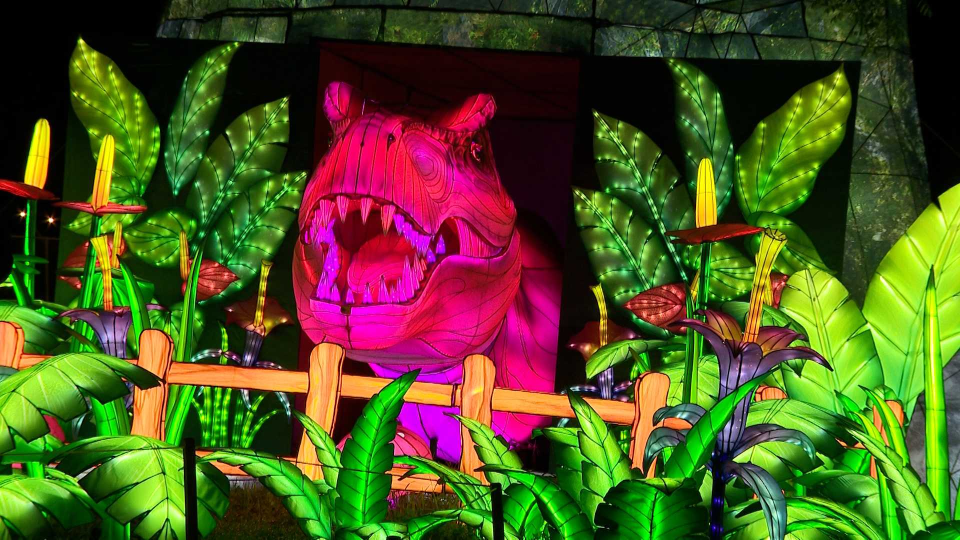 After taking a year off, Wild Lights festival shines again at ...