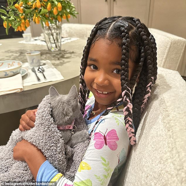 Khloe Kardashian condemned after putting cats through 'cruel' surgical ...