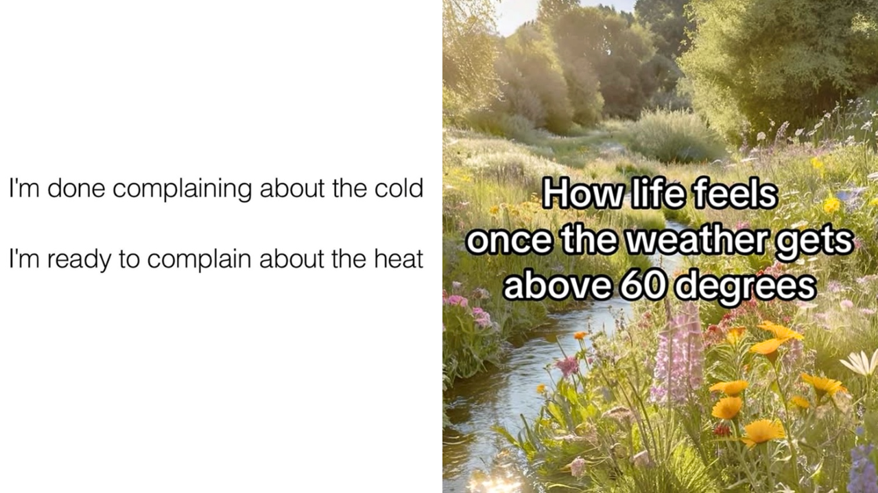 25 summer memes to get you ready for the sun
