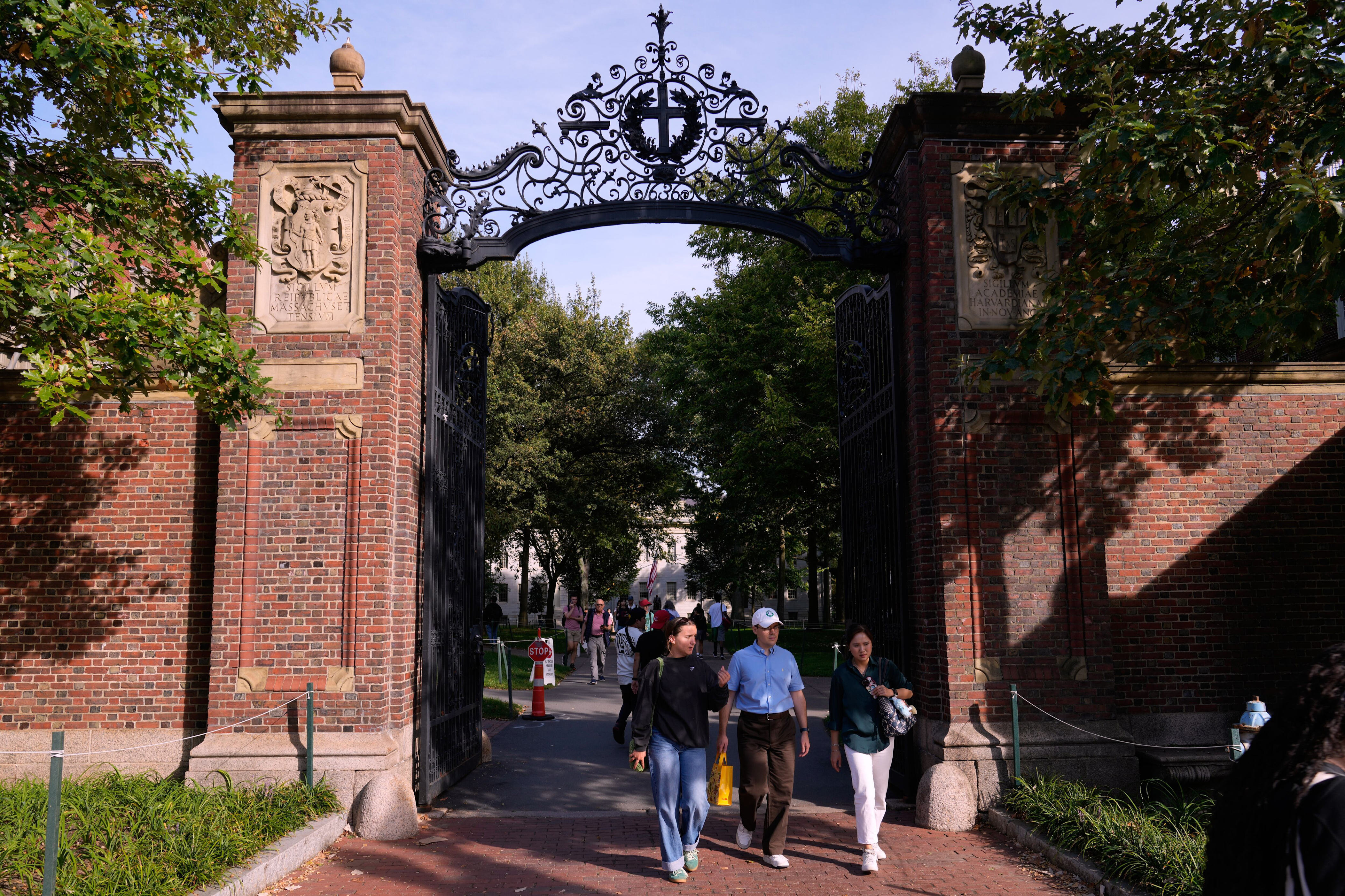 Harvard limits A grades to 20% of enrollment