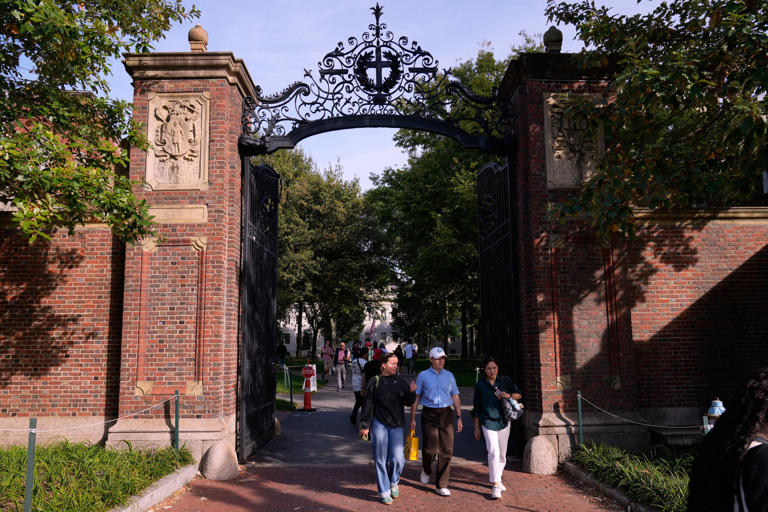 Harvard limits A grades to 20% of enrollment