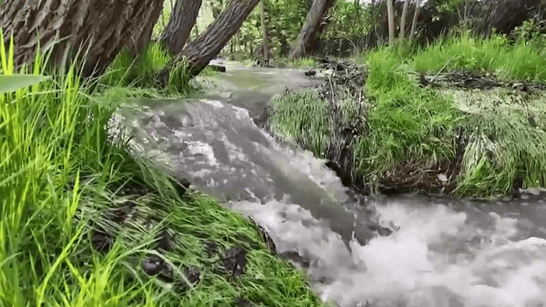 Idaho snowpack hits near-record lows as state reports 8th-worst drought ...