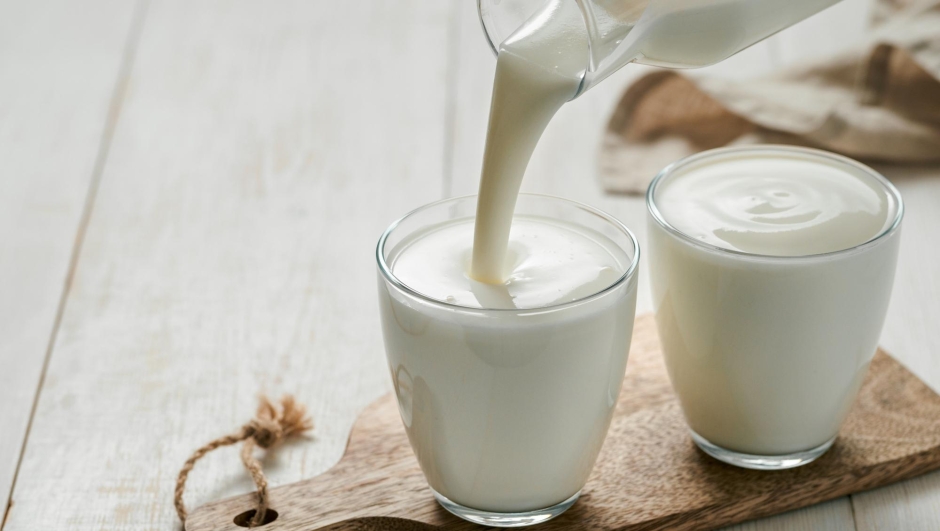 Quali sono i latticini più ricchi di probiotici? Ecco i magnifici 7
