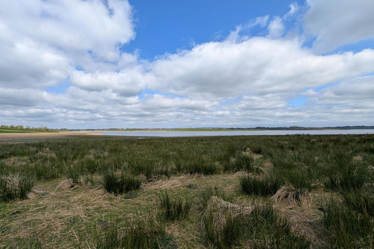 RSPB NI announces new Fermanagh nature reserve to boost curlew and ...