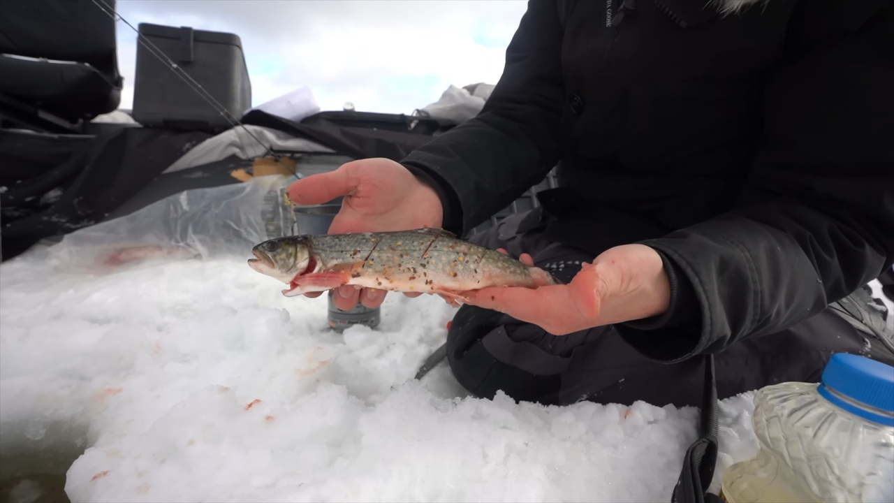 Winter storms tried to stop us... then we found wild trout