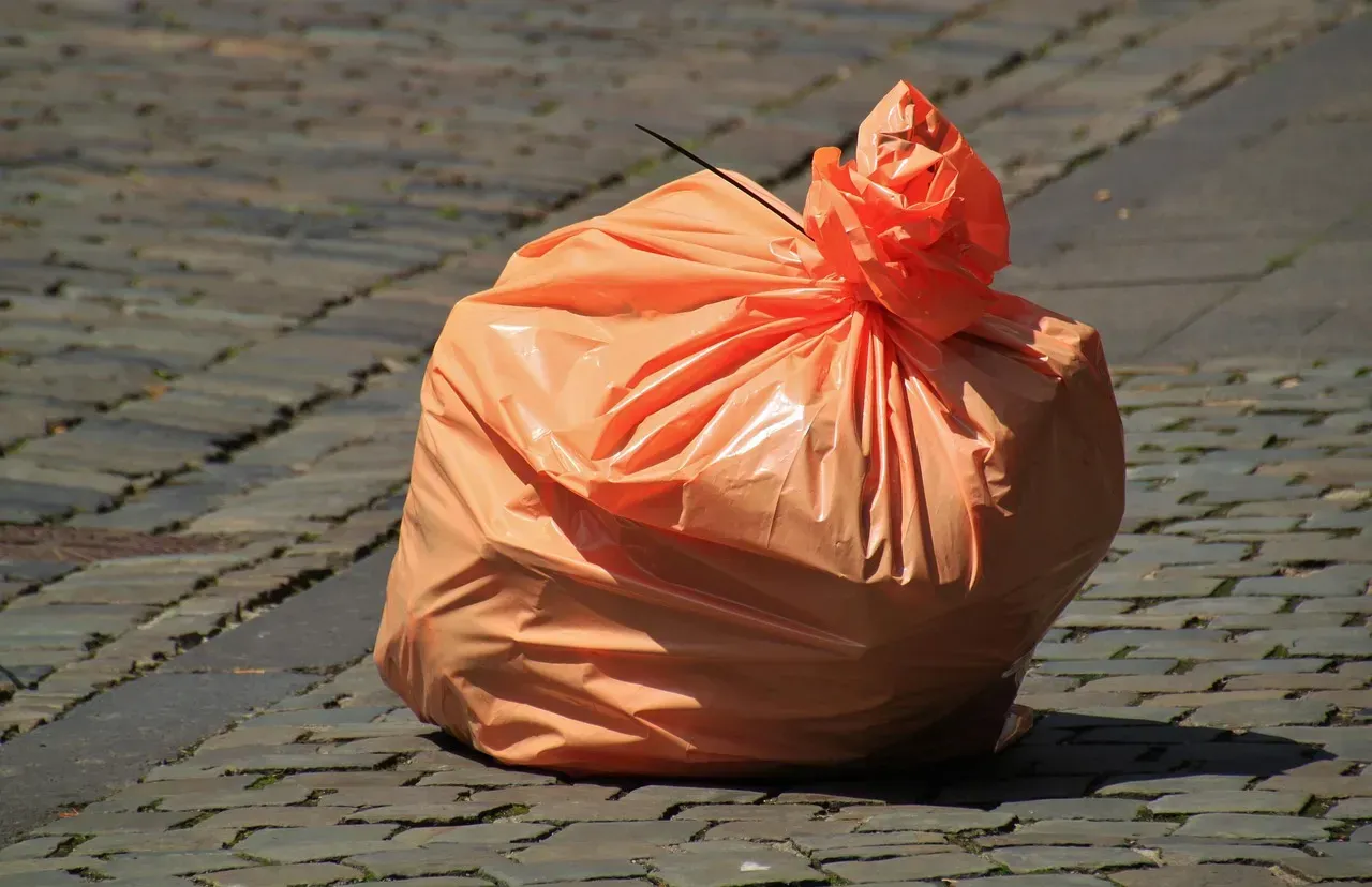 11 items you shouldn't put in the recycling bin – the alarming reasons why