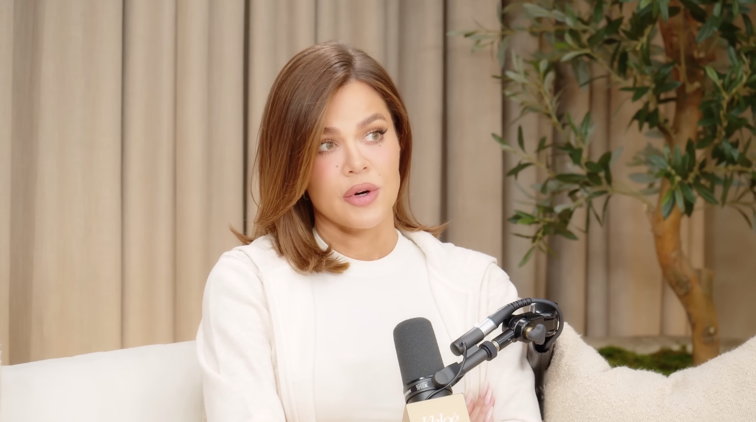 Khloé Kardashian confesses her cats underwent widely banned surgery: 'I ...