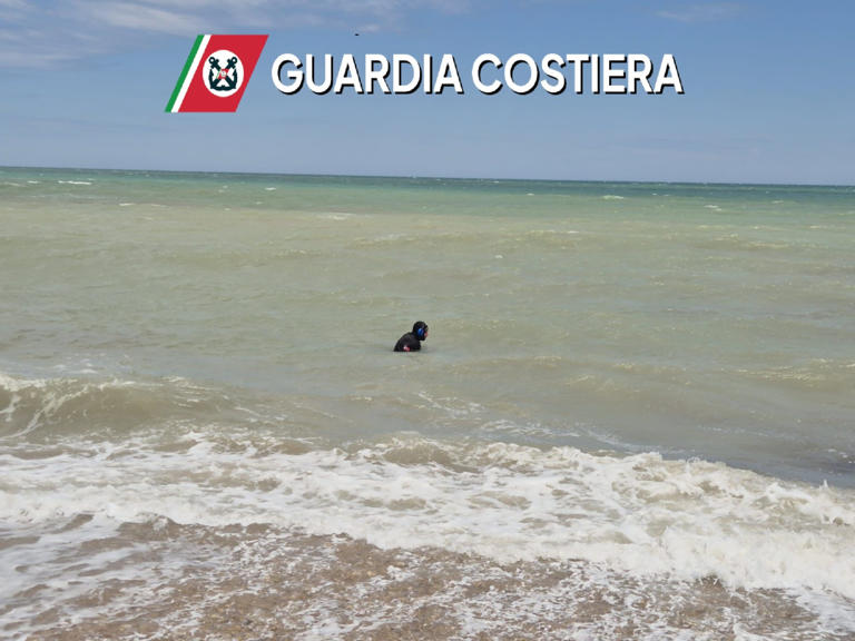 Crollo ponte Trigno, Guardia Costiera ancora alla foce con metal detector