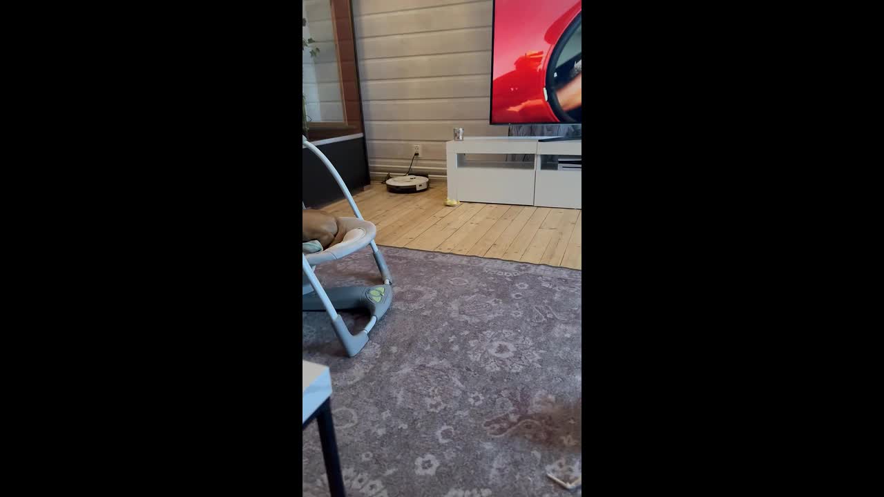 Puppy relaxes on baby rocker in Mikkeli, Finland
