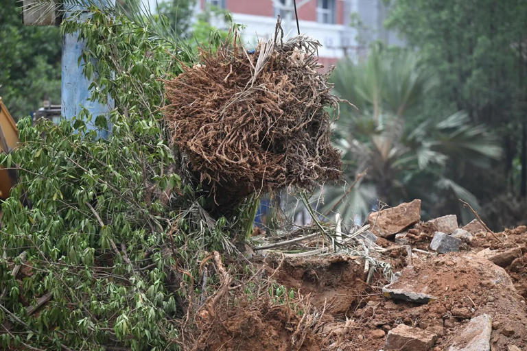 BRS opposes tree felling in KBR Park: KTR