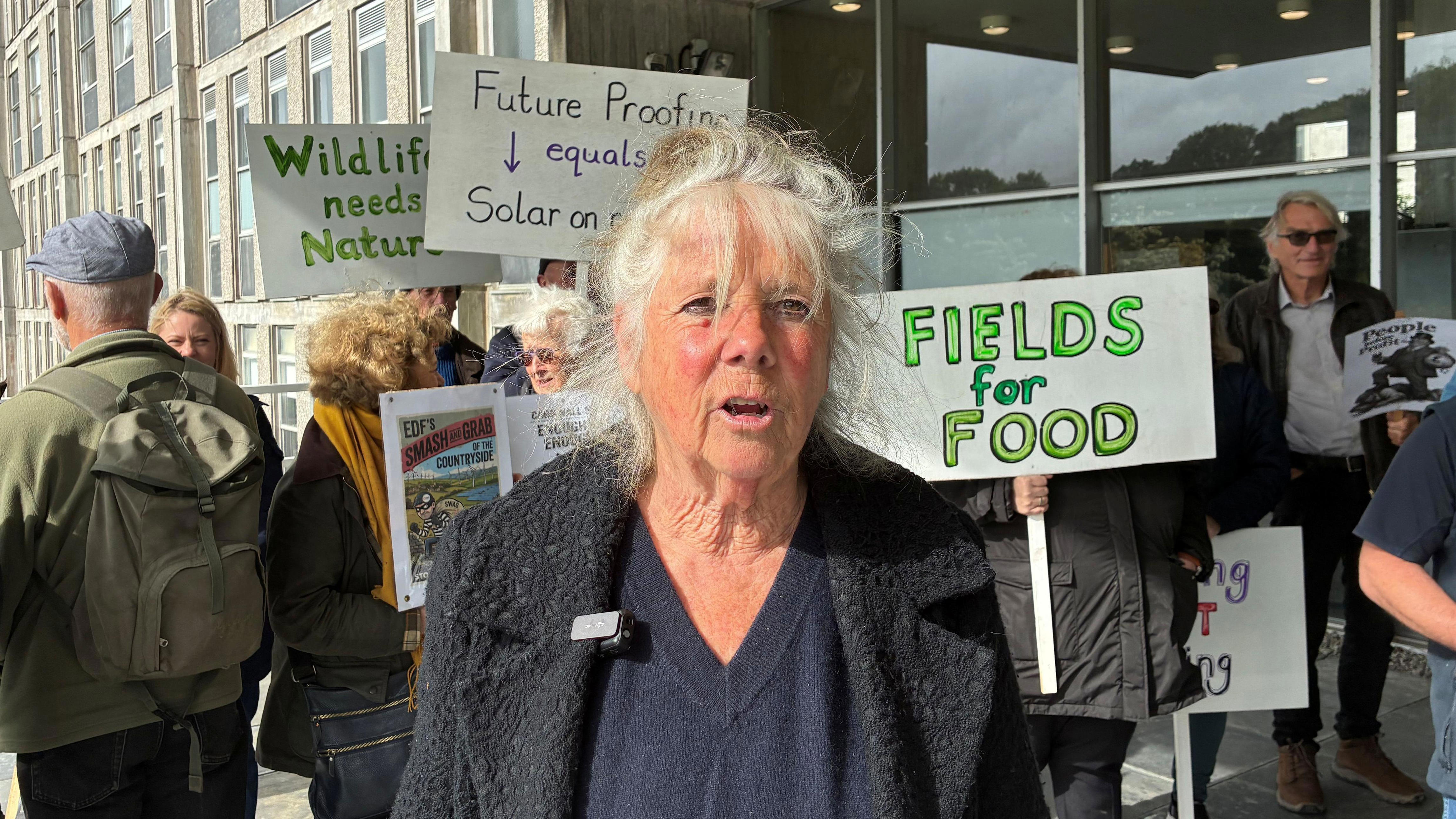 Decision deferred on plan for 19-field solar farm