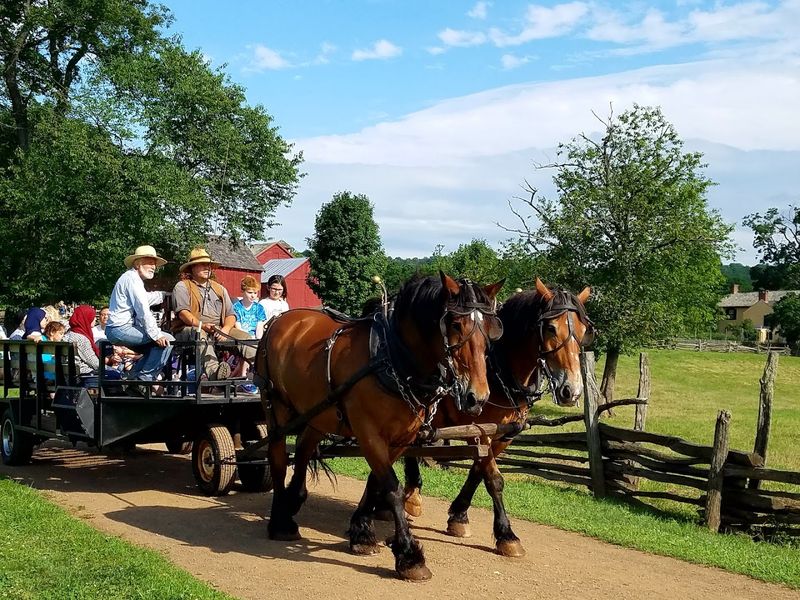 15 incredible US living farms where the past still feels real